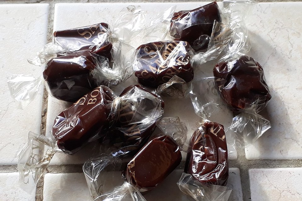 Tout savoir sur la Niniche de Quiberon - Port d'Attache