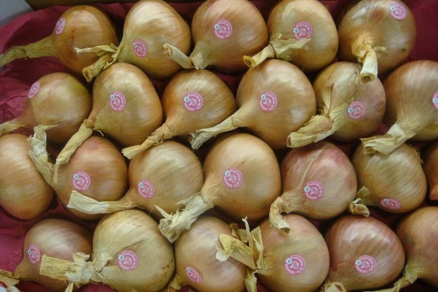 Qu’est-ce que l'Oignon de Roscoff ? - Port d'Attache